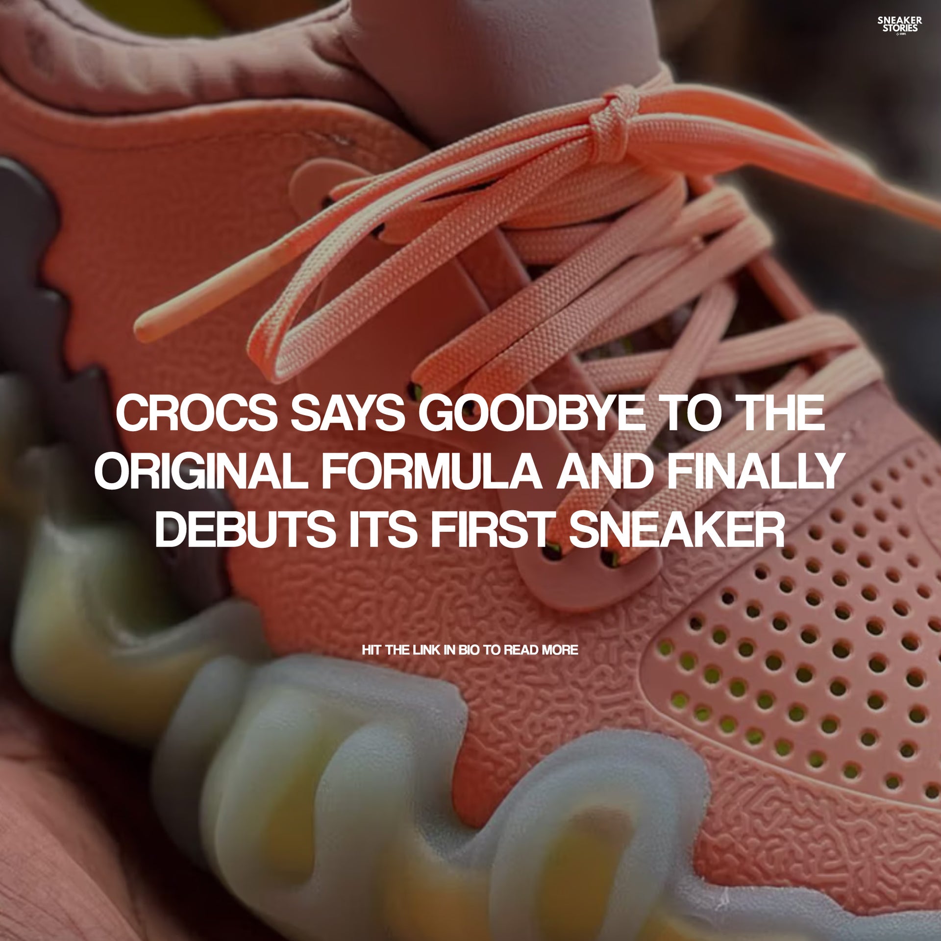 After a While Crocodile! – Story Cape Town