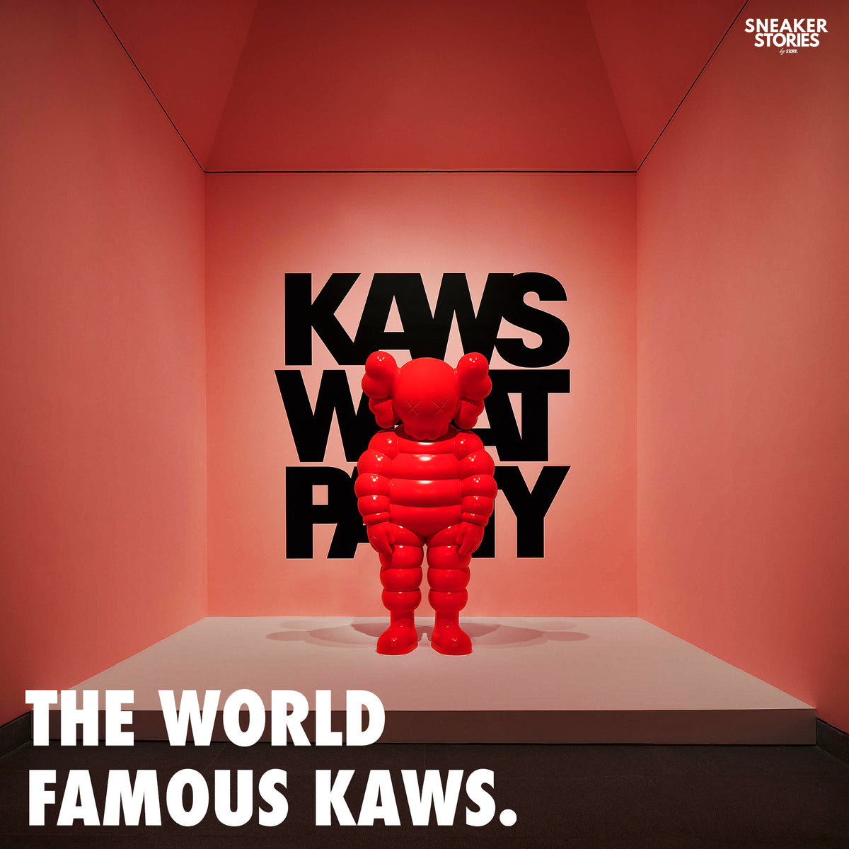 World Famous Kaws – Story Cape Town
